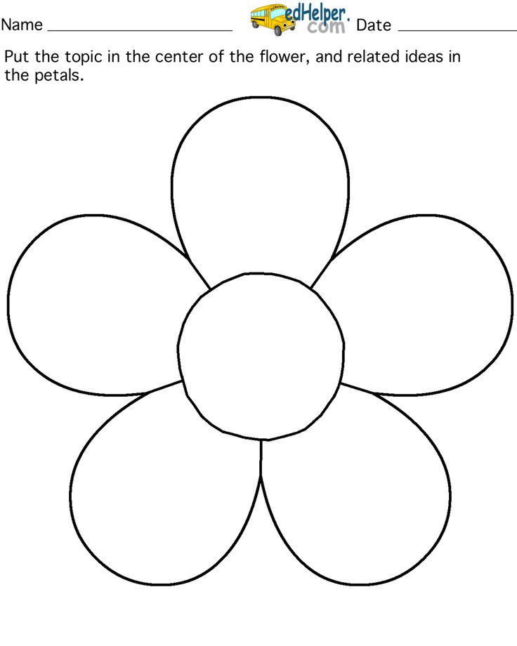 Sunflower Petals Clipart Outline Clipground