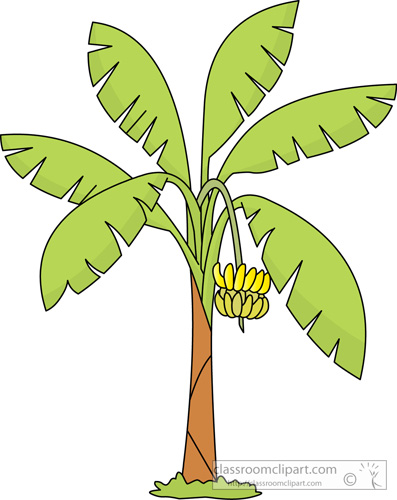 Banana Tree Clipart Clipground