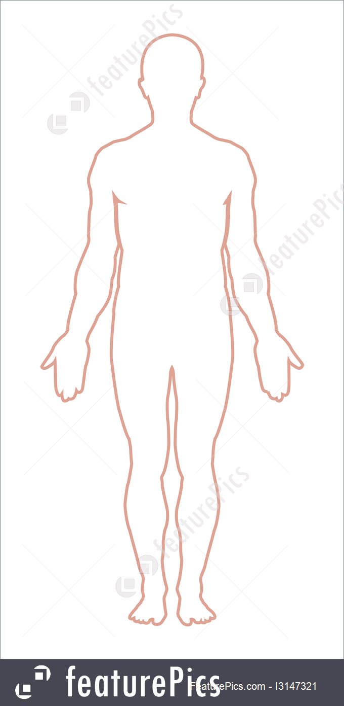 Human Body Outline Clipart Male Clipground