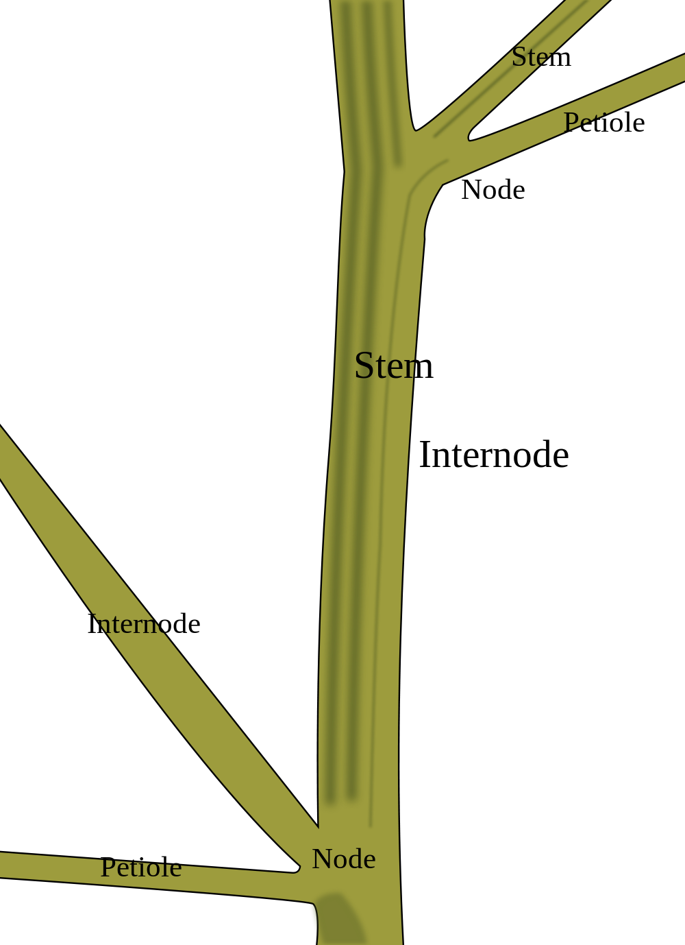 Plant Stems Clipart Clipground