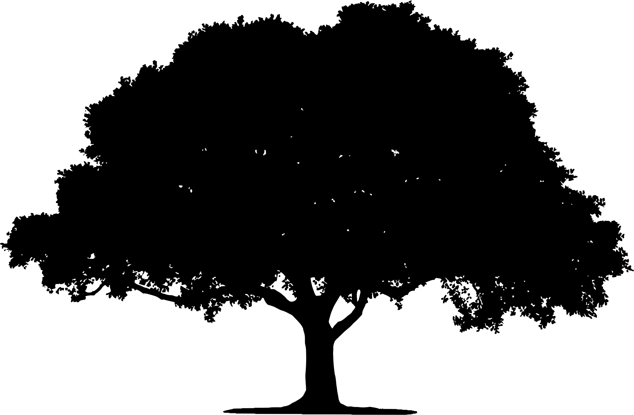Tree Silhouette Clipart Png Clipground