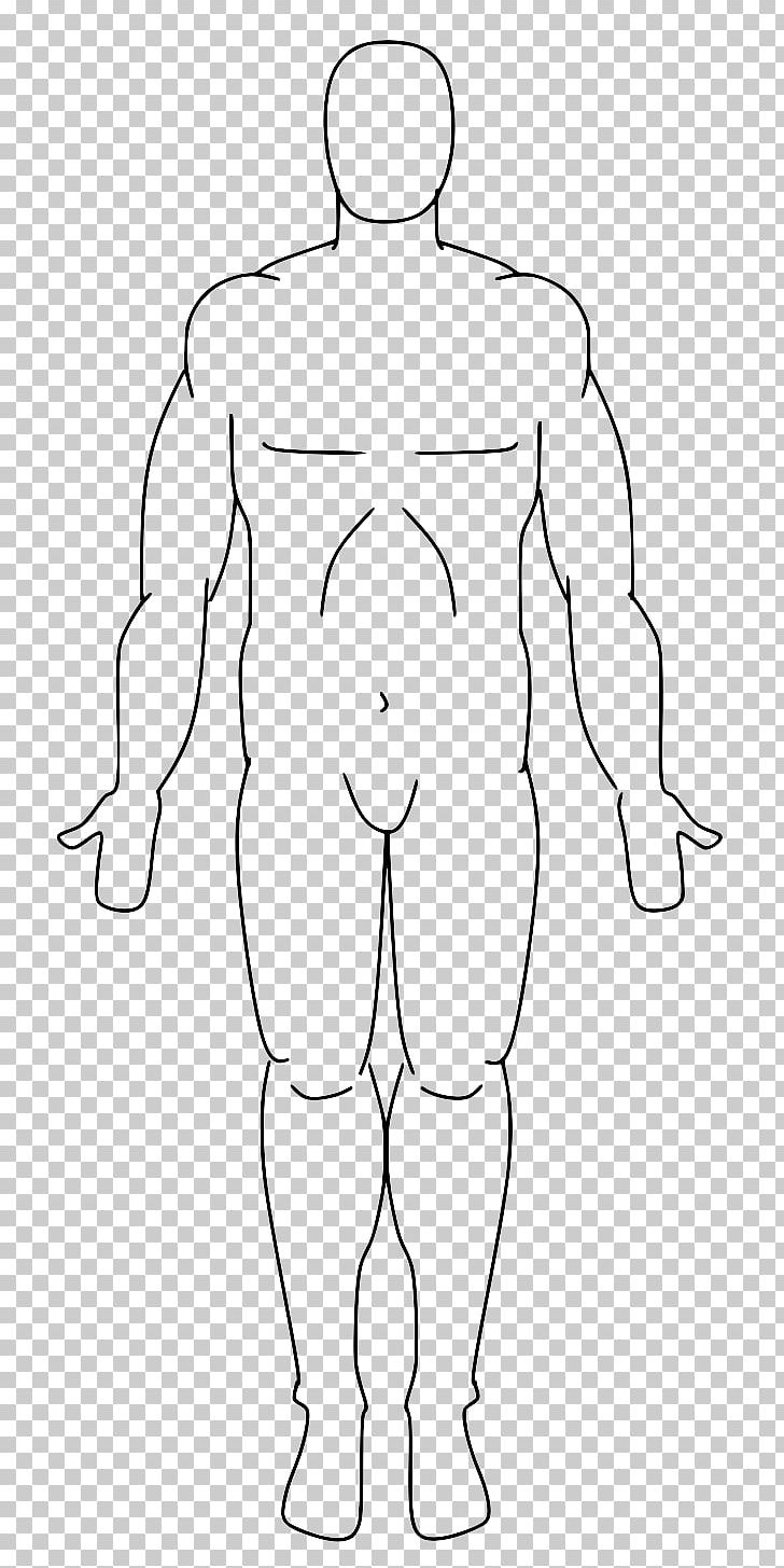 Anatomical Position Clipart 16 Free Cliparts Download Images On Anatomical Position Clipart 16 Free Cliparts Download Images On