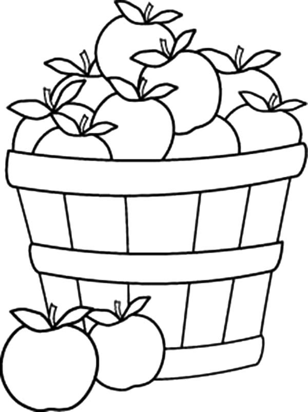 Apple Basket Clipart Outline Clipground