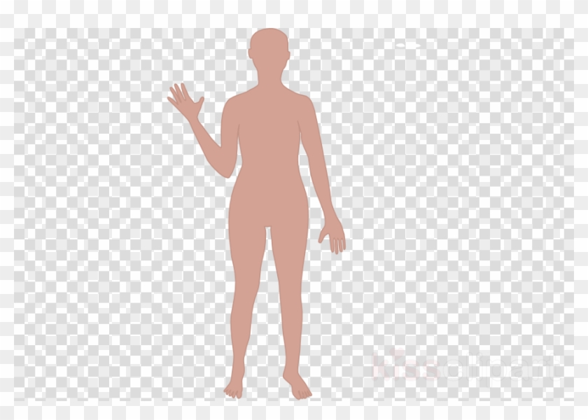 Body Outline Clipart 20 Free Cliparts Download Images On Clipground 2023