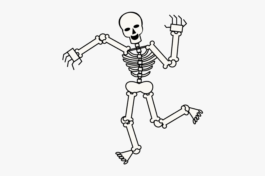 Bone Drawings Clipart 10 Free Cliparts Download Images On Clipground 2023