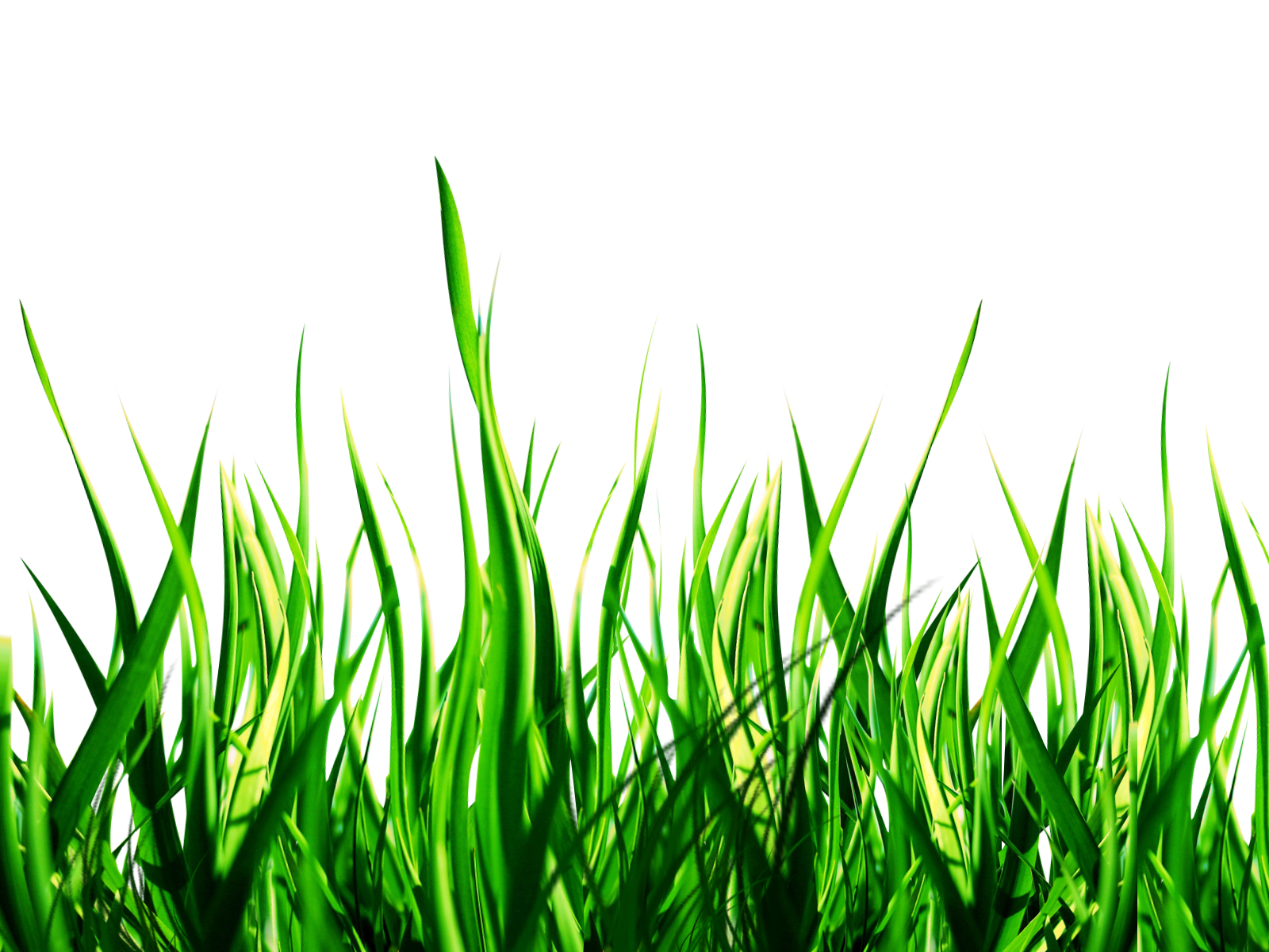 How To Make A Png File Transparent A Png Is An Image File Type That Allows You To Have No 