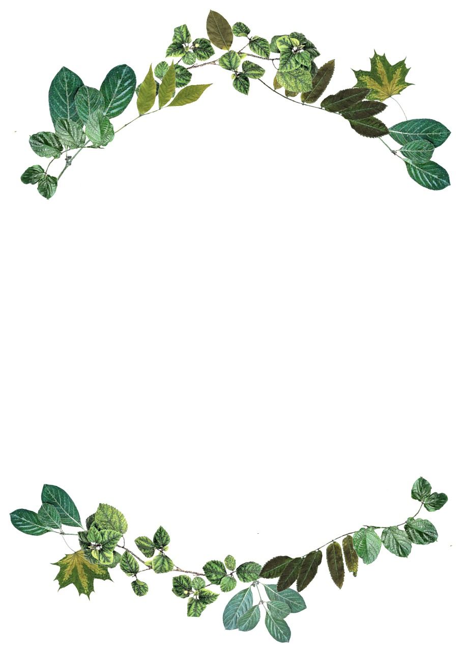 Free Greenery Clipart 10 Free Cliparts Download Images On Clipground 2023