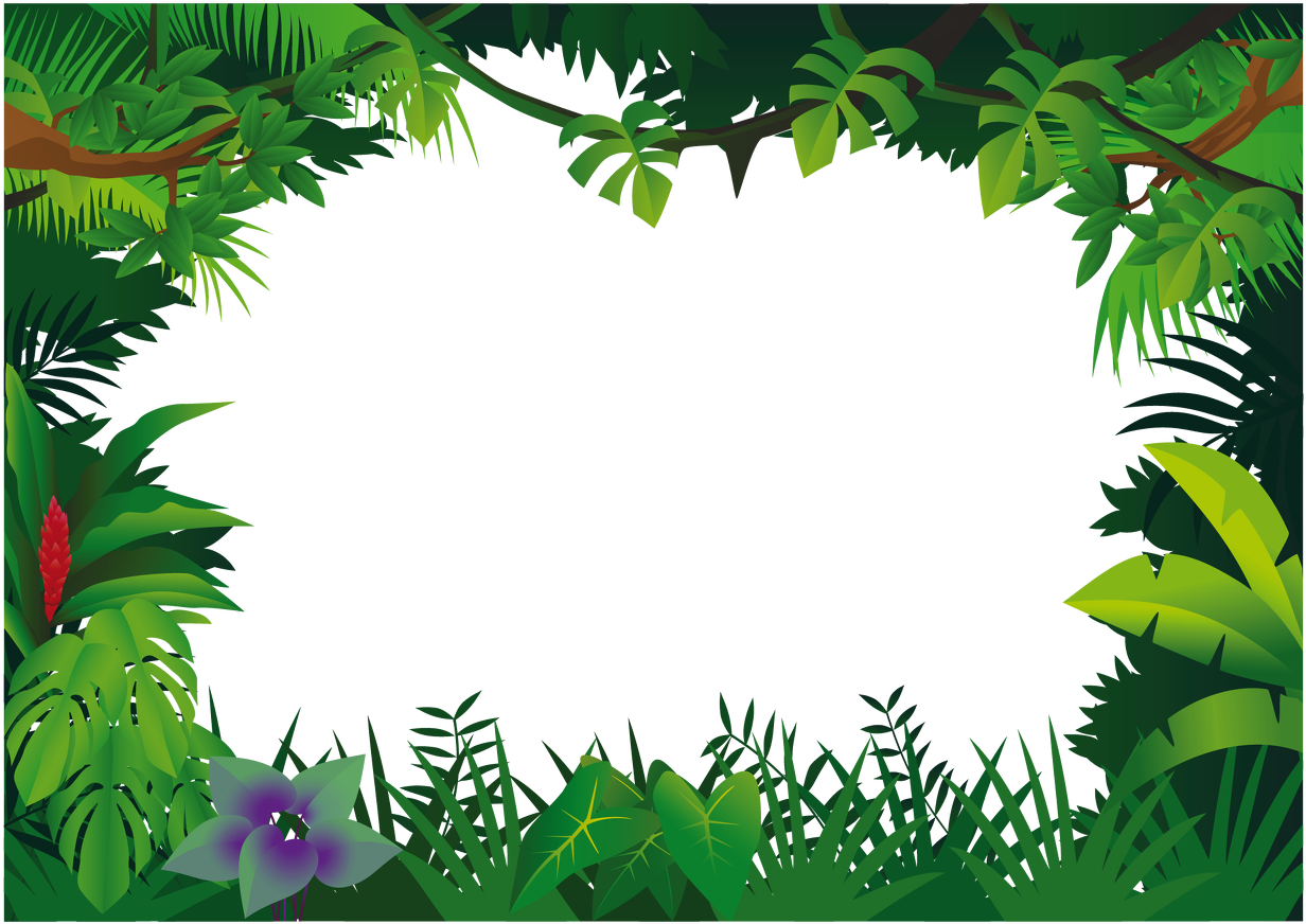 Jungle Border Clip Art Page Border And Vector Graphics 3A5