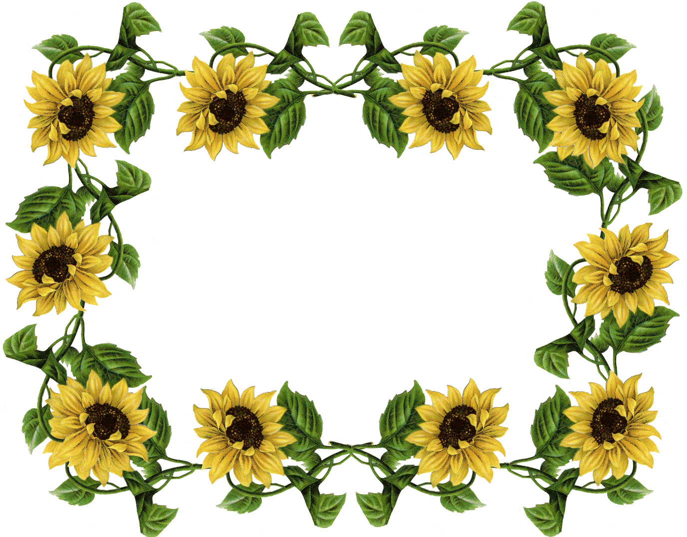 Sunflower Garland Border Clipart Free 10 Free Cliparts Download 