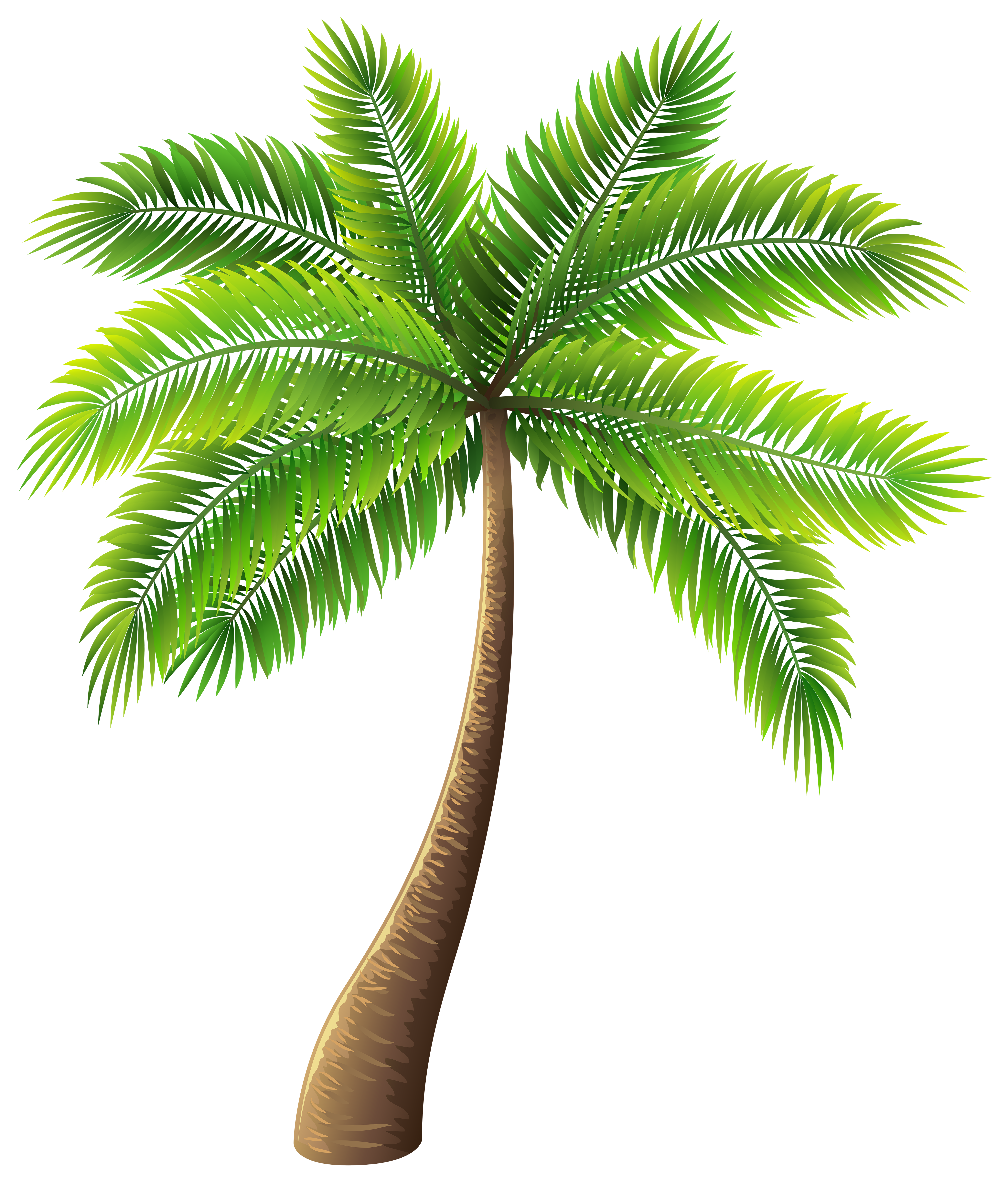 Free Simple Cartoon Palm Tree Clipart Clipart Png And Vector Image Vrogue