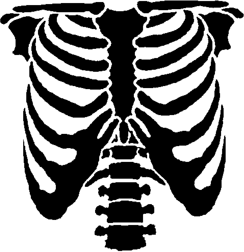 Rib Cage Clipart 20 Free Cliparts Download Images On Clipground 2023