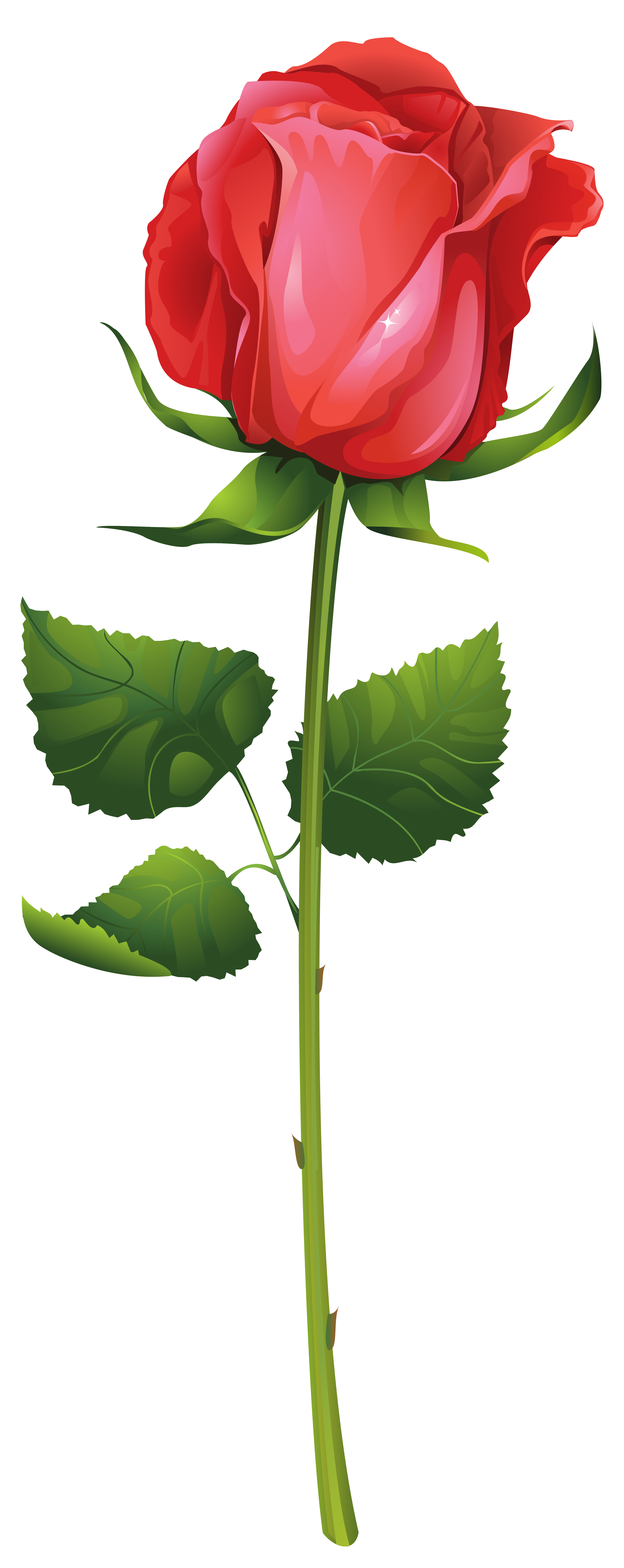 Rose Stem Clipart 20 Free Cliparts Download Images On Clipground 2023