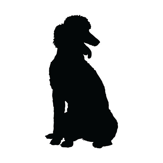 Standard Poodle Clipart 20 Free Cliparts Download Images On