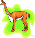 Vicuña clipart 20 free Cliparts | Download images on Clipground 2025