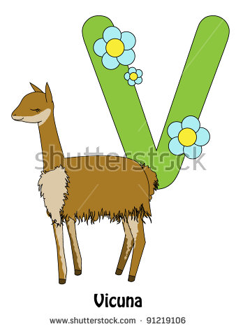 Vicuña clipart 20 free Cliparts | Download images on Clipground 2025